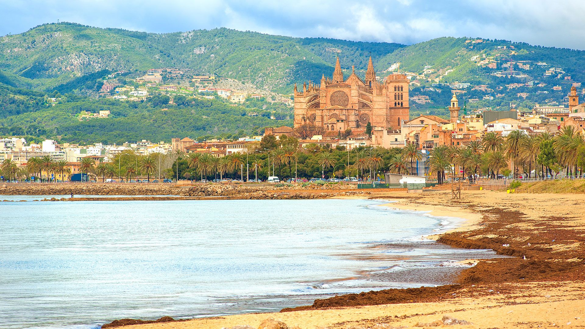 Billige Rejser til Playa de Palma » Book 2023-ferie med Solfaktor i dag!